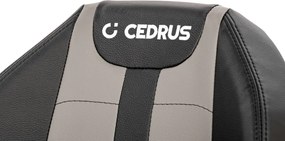 Hahn & Sohn Cedrus Zahradní traktor výkonný dvouválcový s košem C-TRAC-93HC HP17719