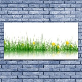 Plexisklo-obraz Příroda Tráva Květiny 120x60 cm