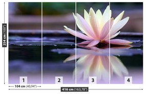 Fototapeta lotus 104x70