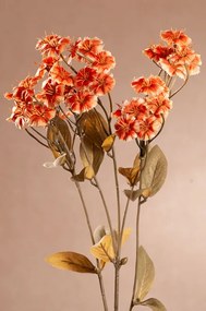 Paramit DRY DIANTHUS Aranžovací květina oranžová 65 cm