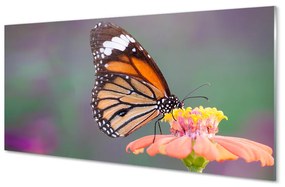Obraz na skle Barevný motýl květina 100x50 cm