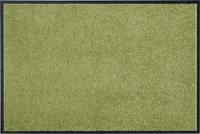 Hanse Home, Rohožka Wash & Clean 101470 Green, 60x90, zelená, chodba / předsíň