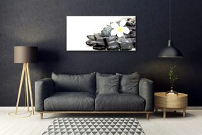 Obraz na skle Květiny Kameny Umění 125x50 cm