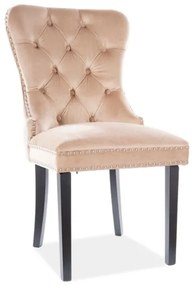 Jídelní židle Amy (světlohnědá + černá). 1049928