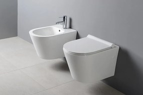 Sapho, PACO RIMLESS WC kombi mísa s nádržkou včetně splachovací soupravy, spodní/zadní, PC1012WR