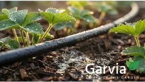 Garvia Kapková zavlažovací hadice černá / Hadice / Délka 22,5 m / Mate