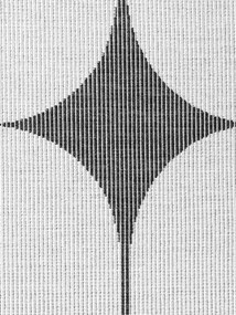 NORTHRUGS, Kusový koberec Duet Bowen 106244 Black/White - na ven i na doma, 200x290, černobílá, chodba / předsíň