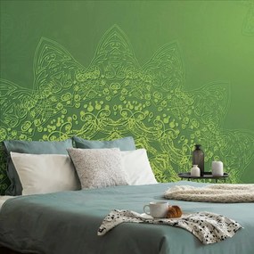 Samolepící tapeta moderní prvky Mandaly v zelené - 225x270