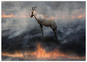 Skleněný obraz kamzíka v ohni (70x50 cm)