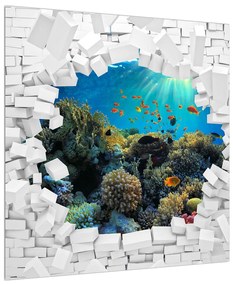 Obraz podmořského světa (50x50 cm)