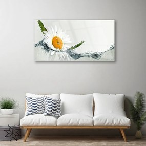 Obraz na skle Sedmikráska ve Vodě 120x60 cm