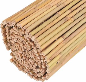 Bambusový plot 300 x 100 cm 142683
