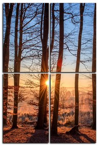 Obraz na plátně - Podzimní ráno v lese - obdélník 7251E (120x80 cm)