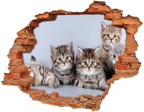 Wallmuralia Díra 3D fototapeta nálepka Pět koček 90x70 cm