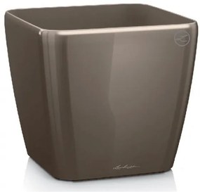 Lechuza Quadro LS 21 - taupe