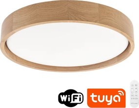 BRILAGI - LED Stm stropní svítidlo MANAROLA SMART LED/24W/230V pr. 41 cm + DO
