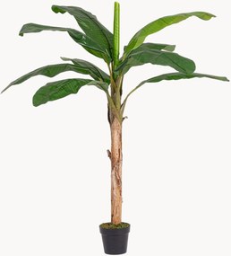 Exteriérová umělá rostlina Banana
