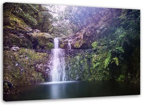 Obraz na plátně Vodopád Lesní příroda - 60x40 cm