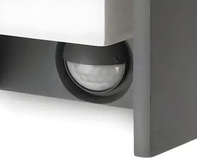 Philips Bridge IR 42W antracit / Venkovní nástěnné svítidlo / E27 / IP