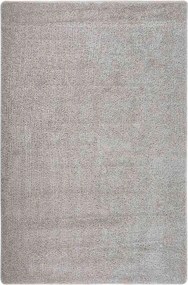Koberec s dlouhým vlasem světle šedý 200 x 290 cm protiskluzový 340386