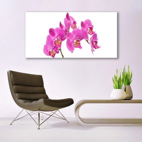 Plexisklo-obraz Orchidej Květiny Příroda 120x60 cm