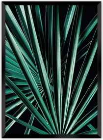 Plakát Dark Palm Tree