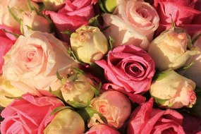 DIMEX | Samolepicí vliesová fototapeta na zeď Svatební kytice růží MA-5-1394 | 375 x 250 cm | krémová, růžová