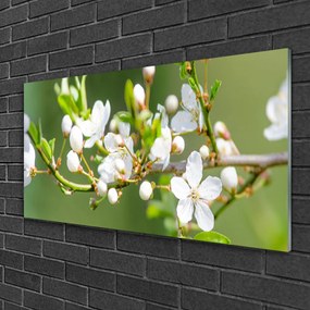 Obraz na skle Květiny Větve Listy Sad 125x50 cm