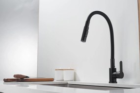 Gamma Flex 4000, stojánková dřezová baterie s flexibilním ramenem, 2-funkční výtok, černá matná, GMA-BFX-4000BK