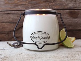 Milkhouse Candle Co. Milkhouse Candle Co. – vonná svíčka Citrus & Lavender (Citrusy a levandule), 454 g