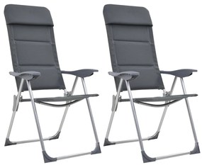 Kempingové židle z hliníku 2 ks 58 x 69 x 111 cm šedé,  44312