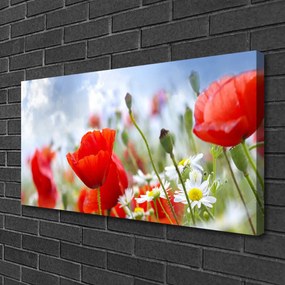 Obraz na plátně Máky Sedmikrásky Květiny 100x50 cm