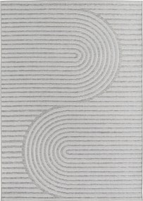 Ayyildiz, Běhoun Desert 1301 grey - na ven i na doma, 80x250, šedá, chodba / předsíň
