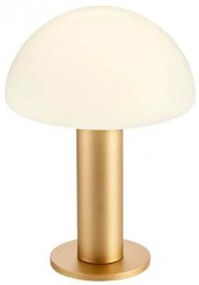 Stolní lampa LUMIEN - 01-2477 - Redo