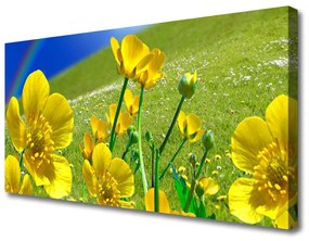 Obraz na plátně Louka Květiny Duha Příroda 120x60 cm