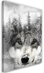 Obraz na plátně, Vlk Lesní zvířata Příroda - 40x60 cm
