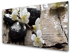 Plexisklo-obraz Květiny Kameny Zen 100x50 cm
