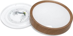 BRILAGI - LED Stropní svítidlo NATURA LED/12W/230V 4000K pr. 26,3 cm