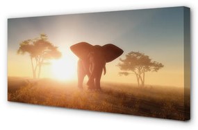 Obrazy na plátně Sloní strom na východ 125x50 cm