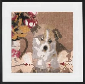 GRAFIX Diamantové malování Roztomilé štěně / 20x20 cm