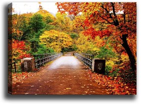Obraz Tablo Center Autumn Bridge, 70 x 50 cm