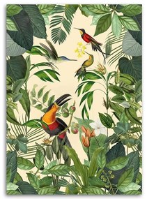 Gario Obraz na plátně Tropický tukan - Andrea Haase Rozměry: 40 x 60 cm