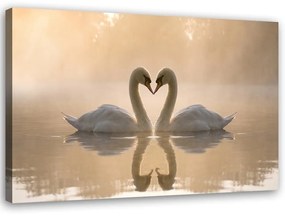 Obraz na plátně Zamilované labutě na moři - 60x40 cm