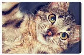 Obraz Krásný Kočičí Portrét Jako Malovaný Nedostatek Nedostatek Přírodní plátno 120x80