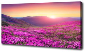 Wallmuralia Foto obraz na plátně Růžové kopce 100x50