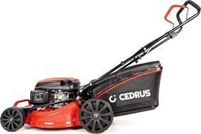 Hahn & Sohn Cedrus Benzínová sekačka Cedrus KS48 HP13079