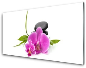 akrylový obraz Květ Kameny Rostlina 125x50 cm