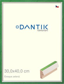 DANTIK rámeček 30x40 | EVOQUE zelená (Plexi Čiré)