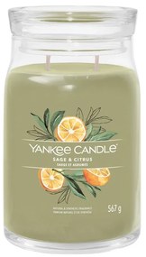 Yankee Candle Signature svíčka velká Sage & Citrus, 567g