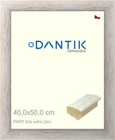 DANTIK rámeček 40x50 | PAINT bílá velká (Sklo Čiré)